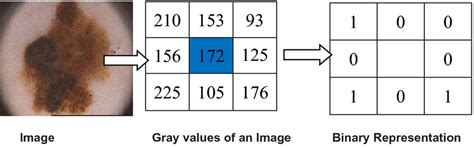 image and its binary representation download scientific diagram