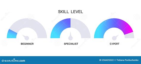 Skill Level Diagram Stock Vector Illustration Of Experienced 256425522