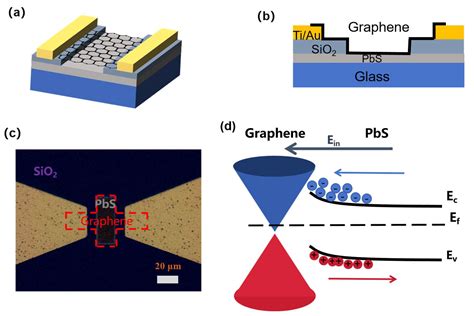 Broadband Graphene Pbs Heterostructure Photodetector With High Responsivity