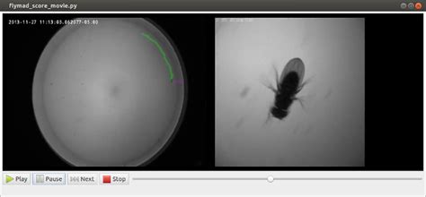 FlyMAD The Fly Mind Altering Device