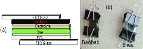 A Schematic Diagram Of Dssc And B Fabricated Dsscs With Baobab And