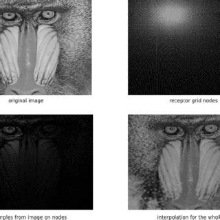 Demonstration Of Sampling And Interpolation Steps With A Sparse Grid Download Scientific Diagram