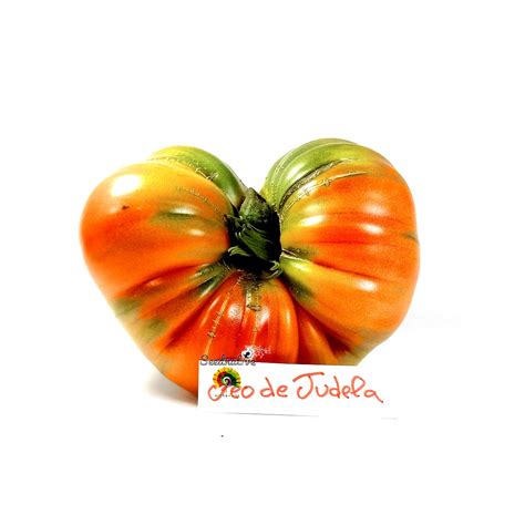 Tomate Feo De Tudela 20 Semillas