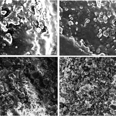 X Ray Diffraction Xrd Pattern Of A Sio2al2o3mgok2ob2o3mgf2