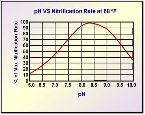 Wastewater Treatment Nitrification Process At Margaret Rice Blog