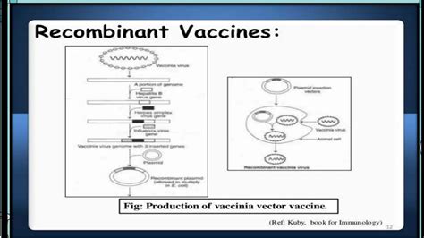 Recombinant Vaccincespptx In Biotechnology 1 Pptx
