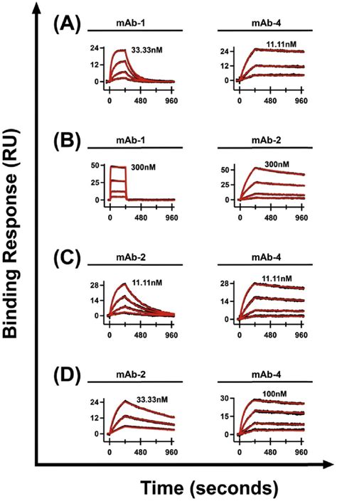 Representative Binding Sensorgrams For Mab Antigen Interactions Using Download Scientific