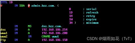 linux之dns的安装与配置 linux服务器dns配置安装 csdn博客