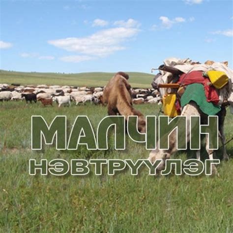 Stream Мал маллах уламжлалт арга туршлага By Mongolian National Radio Listen Online For Free