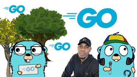 six months to “go” the journey to go lang by ammett w medium
