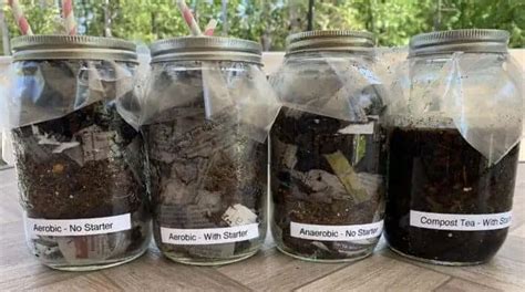 My FoodCycler Compost Experiment Setup The Cottage Wife