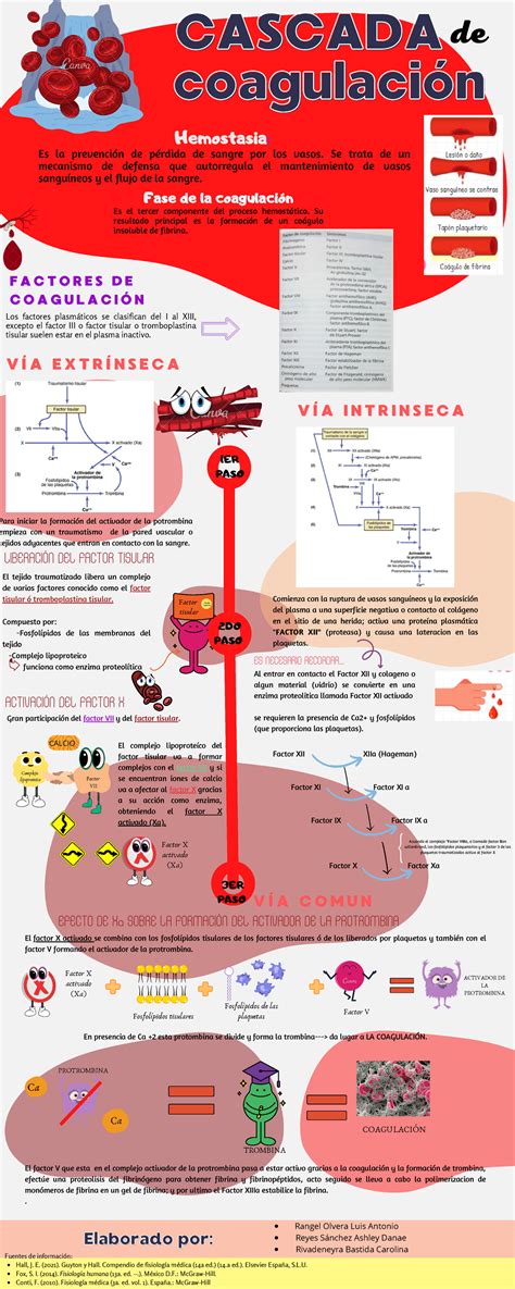 Escritura Sobre Cascadas