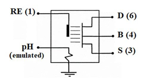 Subcircuit Block And External Connections For The Isfet Macromodel Re Download Scientific