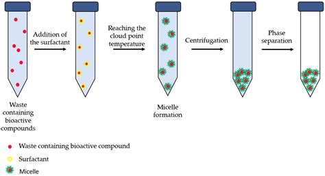 Biomass Free Full Text Exploring The Feasibility Of Cloud Point Extraction For Bioactive