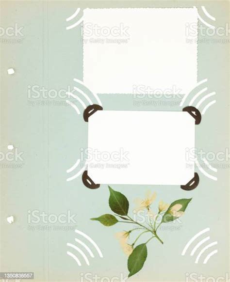 이전 사진 앨범의 페이지입니다 말린 압착 꽃 잎 꽃 꽃잎 꽃잎으로 장식 된 스크랩 북 요소 카드의 경우 초대는 축하합니다 스크랩북 인사말에 사용 Album Signing에