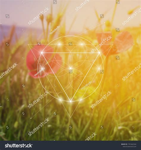 Divine Sacred Geometry Over 3619 Royalty Free Licensable Stock Vectors And Vector Art Shutterstock