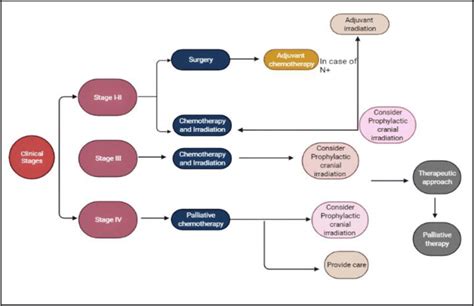 Treatment Algorithm For Sclc Patients Download Scientific Diagram