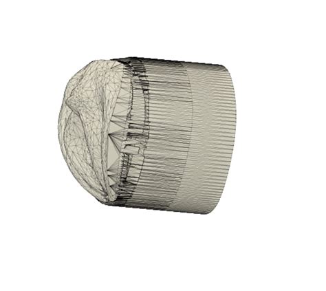 Vagina Stem Cap By Naughtyengineer Download Free Stl Model