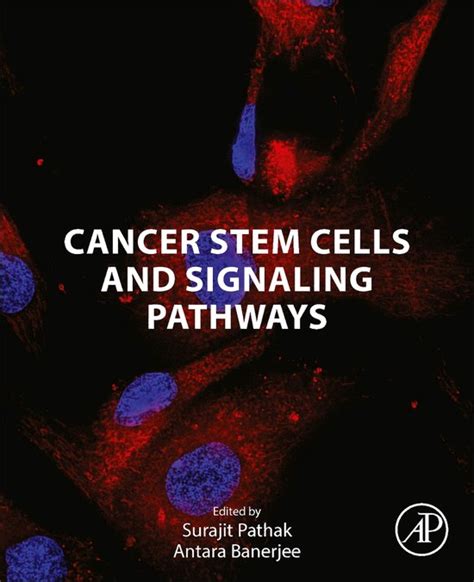Cancer Stem Cells And Signaling Pathways 9780443132124 Surajit Pathak Boeken