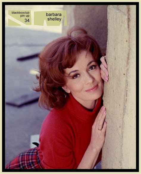 Barbara Shelley Alchetron The Free Social Encyclopedia