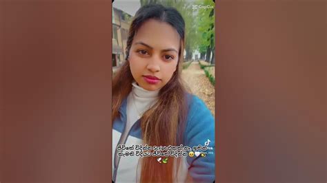 ජිවිතේ විදින්න Script එකක් නෑ ඉතින් කැමති විදියට ජීවිතේ විදින්න 🥹🤍💫🕊🍃 Youtube