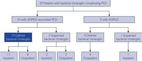 Liver Function Test Normal Range Malaysia Amy Morgan