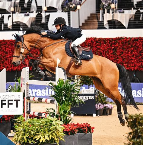 Annecy Seynod Équitation Léona Mermillod Baron Enchaîne