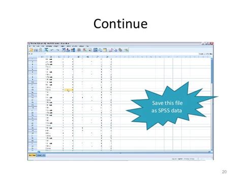 spss beginners