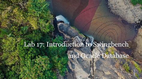 Lab 17 Introduction To Swingbench And Oracle Database Youtube