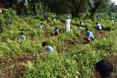 World Environment Day 2023 Narottam Nagar Media Gallery