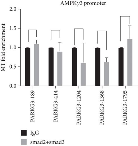 Mstn Inhibits Ampk Expression By Smad23 A Ampk Subunit Mrna