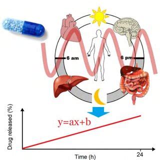 Contents Refined From Core Shell Nanoparticles For Education In Junior Download Scientific