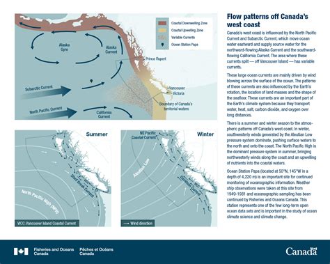 Canadas Oceans Now Pacific Ecosystems 2021