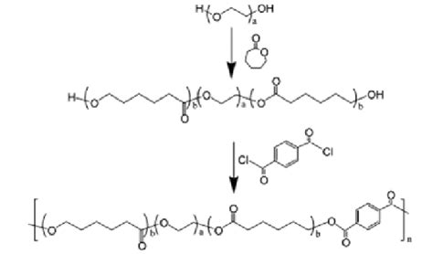 Scheme Of The Synthesis Pathway Of The Peg Pcl Multiblock Copolymer