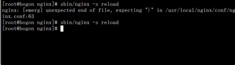 【nginx】[emerg] server directive is not allowed here in usr local