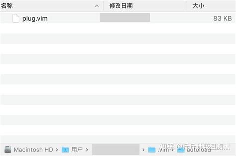 vim plug 代码补全插件 无法 git下载，手动安装步骤 知乎