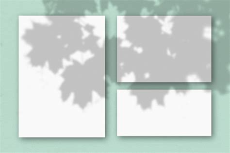 밝은 녹색 벽의 배경에 흰색 질감 종이의 여러 수평 및 수직 시트 자연채광은 이국적인 식물의 그림자를 투사합니다 플랫 레이 상단 보기 0명에 대한 스톡 벡터 아트 및 기타