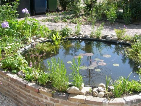 Verhoogde Gemetselde Ronde Vijver Achtertuin Vijvers Tuin Waterpartijen Vijvers