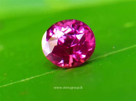 Ceylon Ruby Danu Group