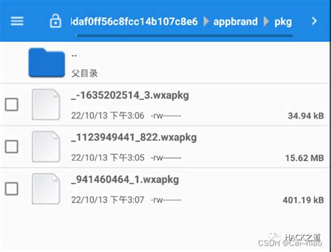实战 微信小程序渗透测试 小程序渗透测试思路 csdn博客