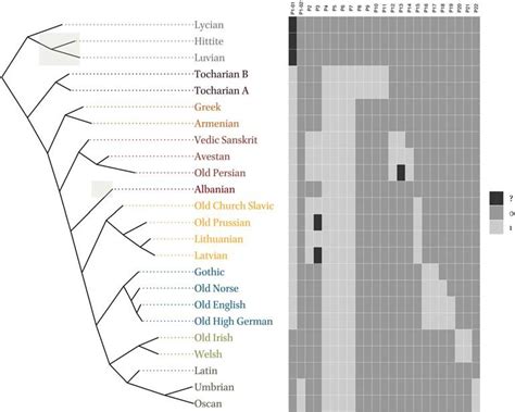 Branch And Bound Tree 2 With Binary Phonological Characters Download Scientific Diagram