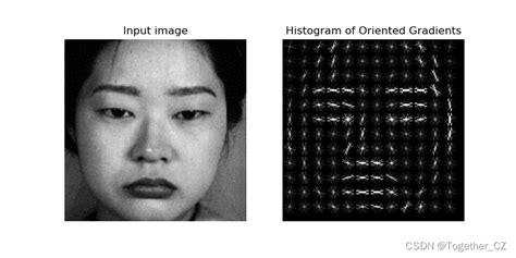 Python基于opencv开发实践hoglbp特征可视化opencv 数据可视化界面 Csdn博客