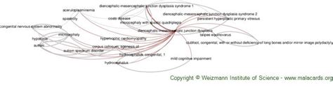 Diencephalic Mesencephalic Junction Dysplasia Disease Malacards Research Articles Drugs