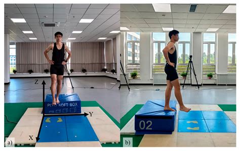 Sex And Limb Dominance Differences In Postural Control Performance Of