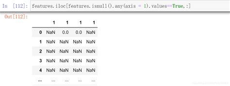 Pandas Isnull Dropna使用，返回dropnaisnull的空值features Featuresdropna Csdn博客