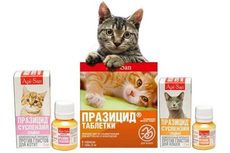 Празицид для кошек: инструкция и показания к применению, отзывы, цена