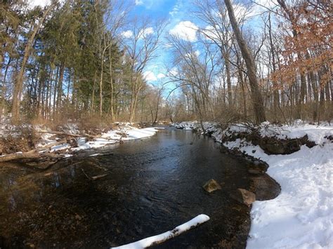 Creek Nature Stream Free Photo On Pixabay Pixabay