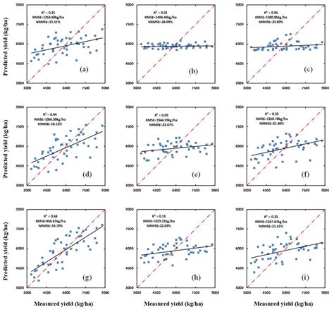 The Relationships Between The Ground Measured Winter Wheat Yield And