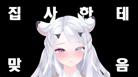 집사의 반격 누야 YouTube