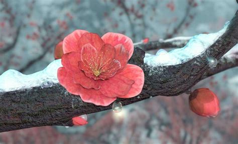 Gujian 3 How To Collect Outfits For Beiluo And Companions